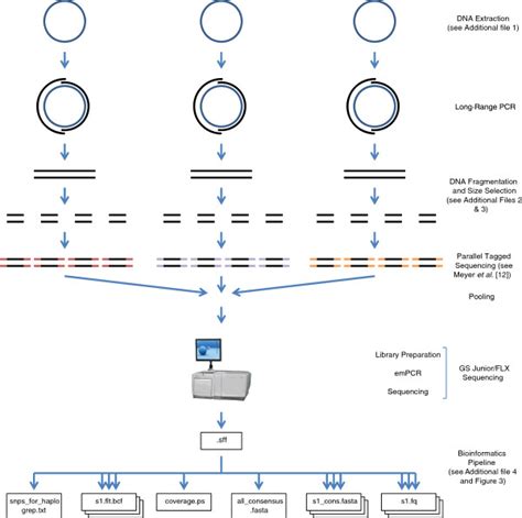overview of the a to z method for high throughput dna sequencing of download scientific diagram