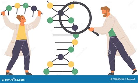 Scientists Studying Dna Molecule Genetic Engineering Manipulation Of