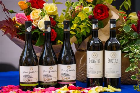 Apold Weinfest USAMV Cluj Napoca partener cu vinuri și produse din