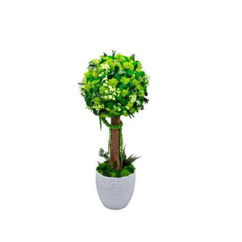 Aranjament Floral Tip Copacel Pomisor Cu Licheni Naturali Stabilizati