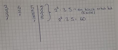Say Lar N N Ortak Katlar Nelerdir Eodev