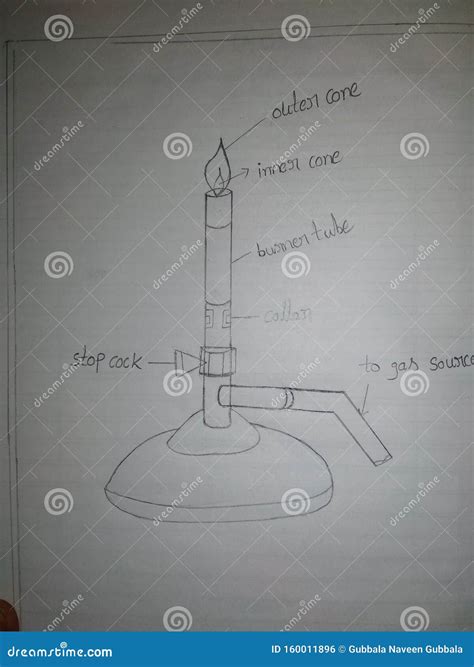 Bunsen Burner Diagram Scientific