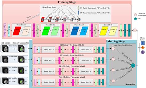 Frontiers Multimodal MRI Image Decision Fusion Based Network For