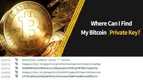 How To Recover A Bitcoin Wallet Password Ai Doctor