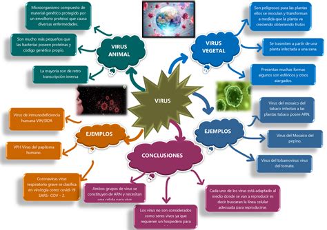 Mapa Mental Mapa Mental De La Biologia Introduccion Virus Virus The