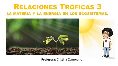 Relaciones tróficas 3 ciclo de la materia y ruta o flujo de la