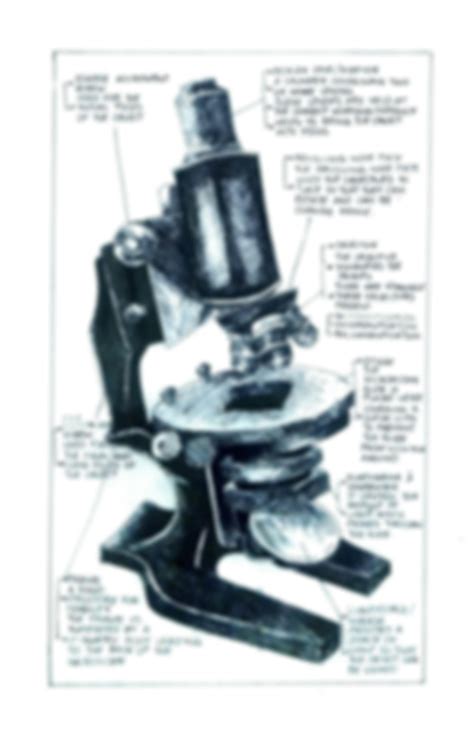 SOLUTION Compound Microscope Studypool