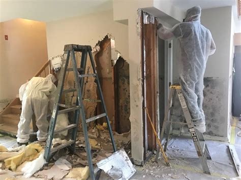 Mold Removal Remediation NYC Other Counties In New York