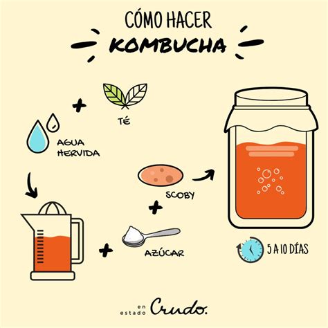 C Mo Preparar La Kombucha Y Sus Beneficios Intestinales Vivir Como