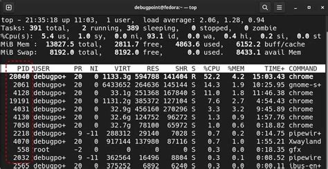 如何在 linux 中找到一个进程 id 并杀死它 linux 中国 知乎