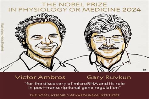 Victor Ambros And Gary Ruvkun Awarded Nobel Prize In Medicine For