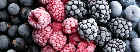 10 Métodos de Conservación de Alimentos Cotizador Proesa