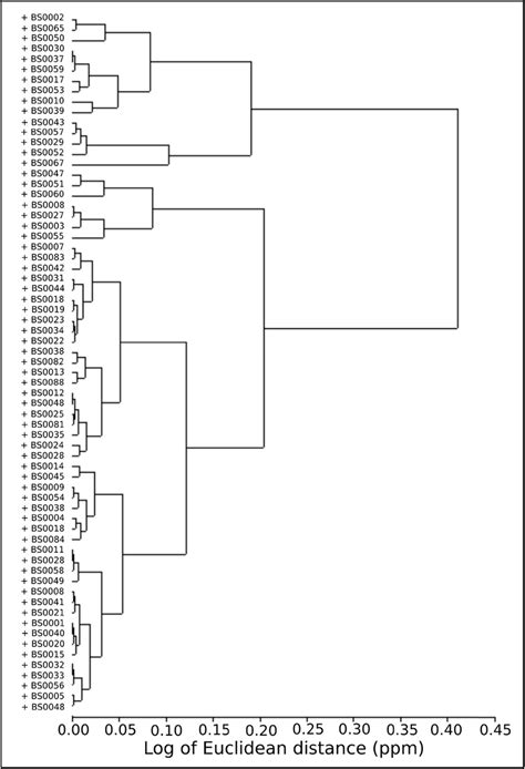 hierarchical cluster analysis download scientific diagram