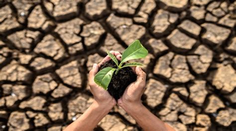 BIBOCA AMBIENTAL O QUE É IMPACTO AMBIENTAL Descubra a emoção das