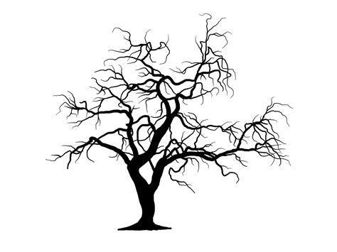 Black Branch Tree Or Naked Trees Silhouettes Hand Drawn Isolated