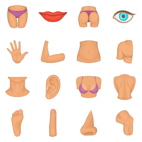 Body Parts Icons Set Cartoon Style Stock Vector Ylivdesign 110487372