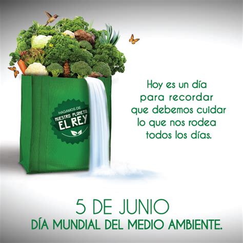 Imágenes con frases sobre el Día Mundial del Medio Ambiente para