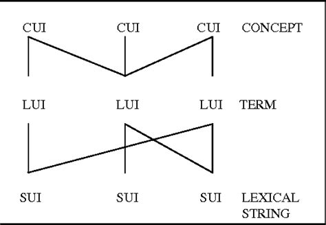 figure 1 from creating and using domain specific ontologies for terminological applications