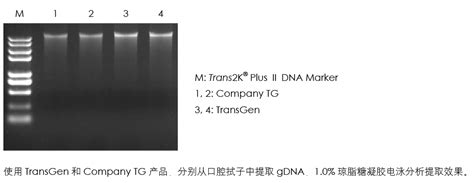 EasyPure Buccal Swab Genomic DNA Kit 北京全式金生物 TransGen Biotech 官方主页