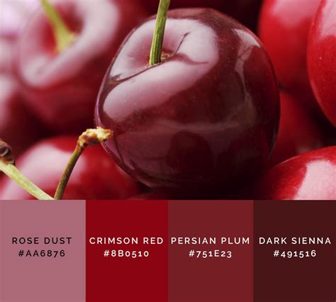 99 Shades Of Red Color With Names HEX RGB CMYK Colors Explained