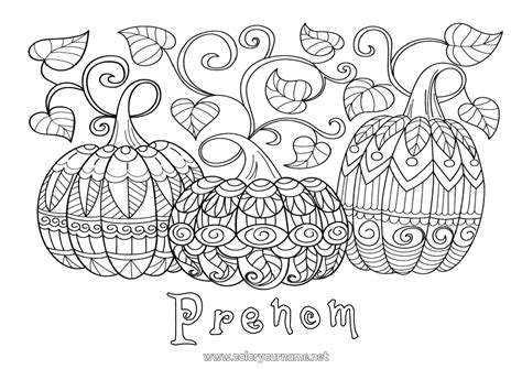 Coloriage N221 Citrouille Halloween Mandala