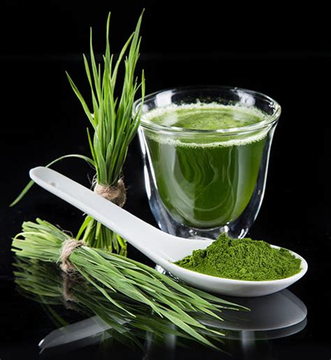 Zdrowe Zielonki Chlorella Pyrenoidosa Sorokinia Sok z młodego