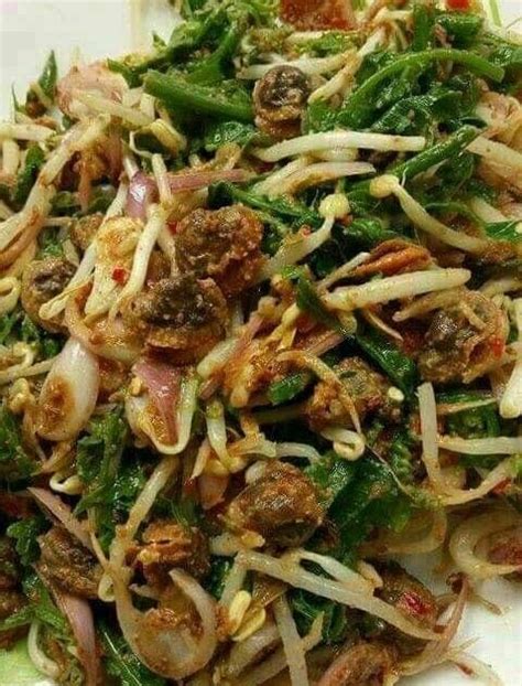 MaKaN JiKa SeDaP RESEPI KERABU PUCUK PAKU BERSAMA KERANG