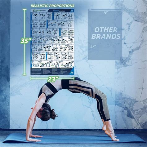 EverStretch Barbell Workout Poster Large 23x35 Laminated Chart With