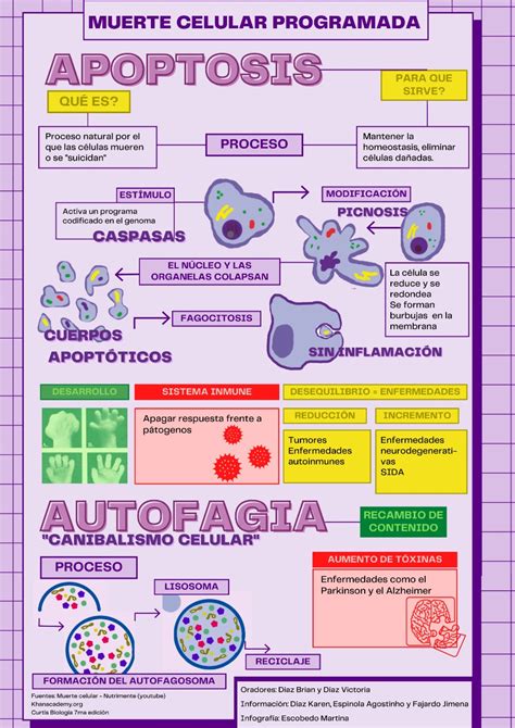 Infografías Alumnos 2021 Biología