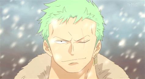Roronoa Zoro One Piece WiffleGif