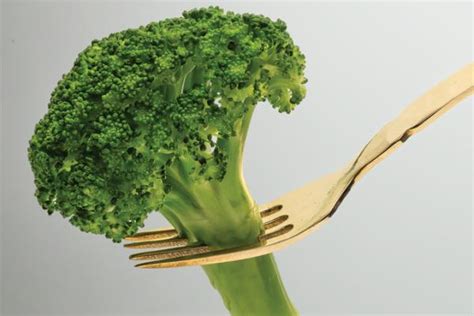 Los Mejores Alimentos Para El Sistema Nervioso