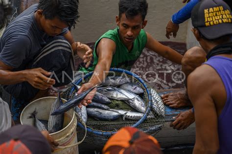 PRODUKSI PERIKANAN TANGKAP BELUM OPTIMAL ANTARA Foto