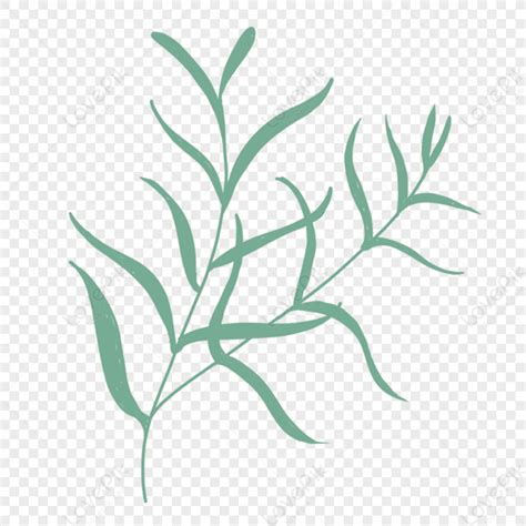 Planta De Hojas imágenes de gráficos png gratis Lovepik