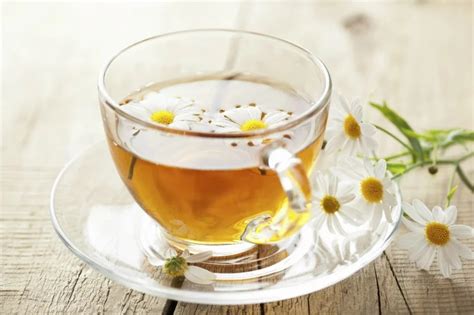 Manzanilla 7 Propiedades Y Beneficios De Esta Planta Galuvi