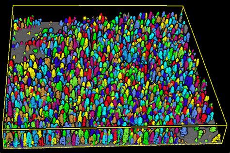 exercise 3 tree segmentation · gvi tutorials