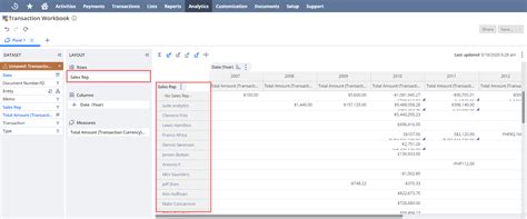 NetSuite Applications Suite Pivot Table Customization