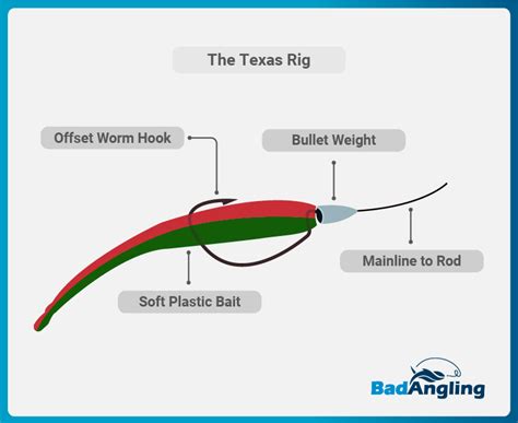 Mastering The Texas Rig Bass Fishing Guide BadAngling