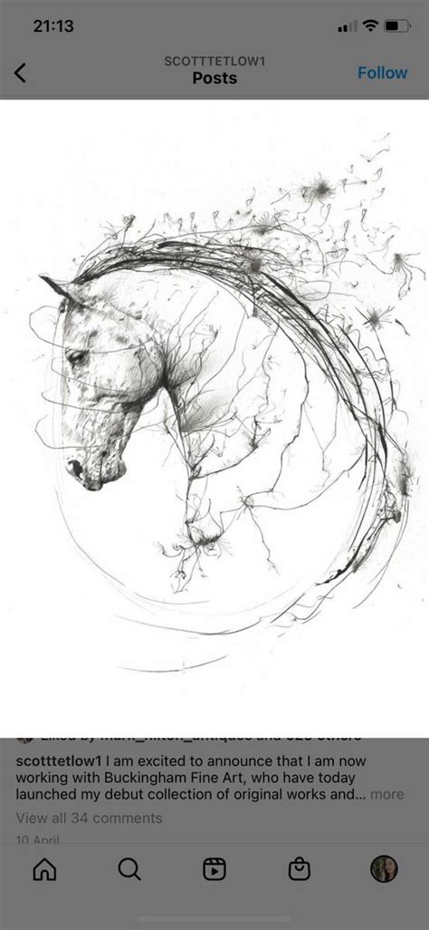 Pin Di Kelly Ann Roe Su Drawing Nel 2024 Tatuaggio Cavallo Idee Per