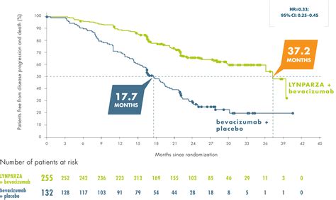 PAOLA 1 Phase 3 Trial LYNPARZA Olaparib Bevacizumab For Advanced