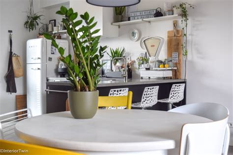 Deze Planten Overleven De Zomer Wel Een Winactie InteriorTwin