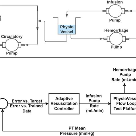 diagram of flow loop platform and closed loop resuscitation controller download scientific