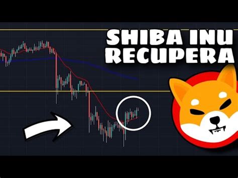 SHIBA INU TENDRÁ QUE HACER ESTO SI QUIERE SUBIR YouTube