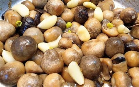 Món chay thơm ngon Cách làm nấm rơm kho tiêu đơn giản tại nhà PATO