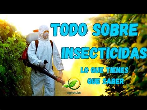 Insecticidas Tipos De Insecticidas Lo Que Necesitas Saber Sobre Los