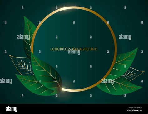 Cadre cercle Banque de photographies et dimages à haute résolution Alamy