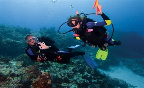 Scuba Diving On Havelock Island Tips For Booking In Advance Desertdivers