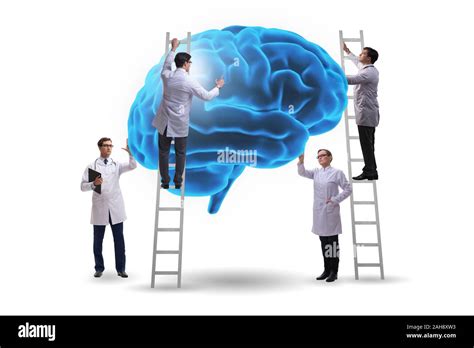 The Team Of Doctors Examining Human Brain Stock Photo Alamy