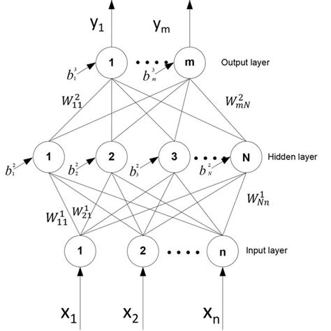 schematic representation of the mlp neural network download scientific diagram