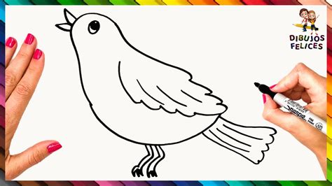 Cómo Dibujar Un Pájaro Paso A Paso Pájaro Dibujo YouTube