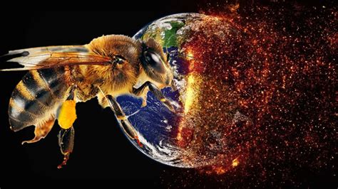 Hacer energía otoño causas de extincion de las abejas Iluminar